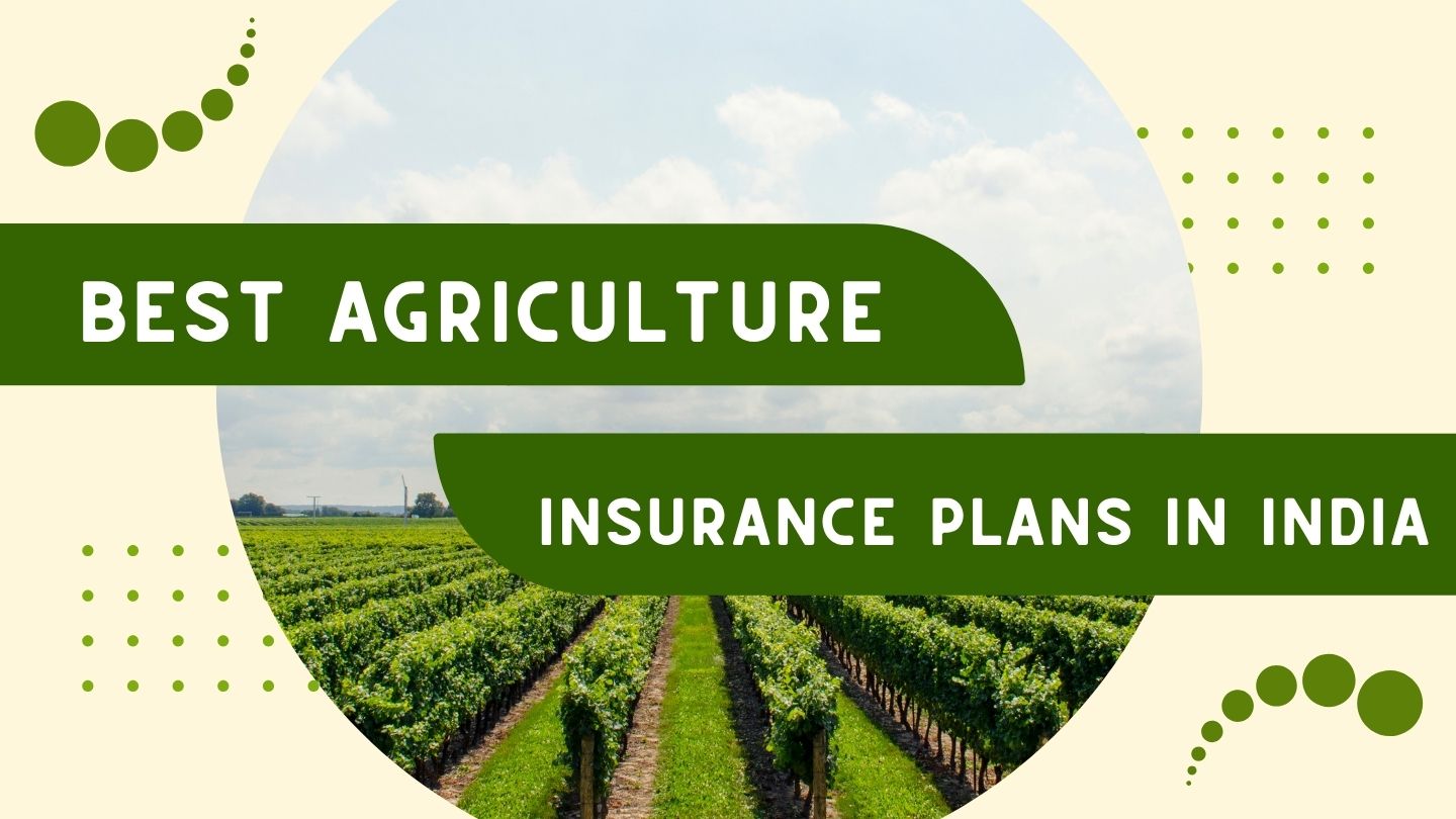 Cultivating Security: Your Guide to India's Best Agriculture Insurance ...